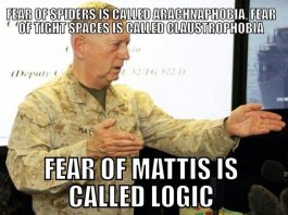 James "Mad Dog" Mattis: See Hilarious Memes of Our New Secretary of Defense