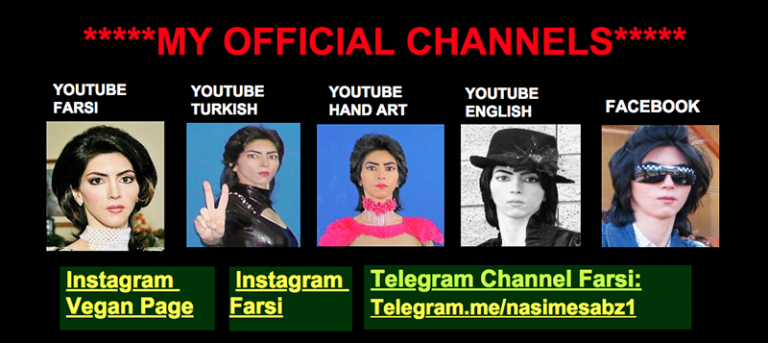 WATCH: Videos From Nasim Aghdam's YouTube Channel