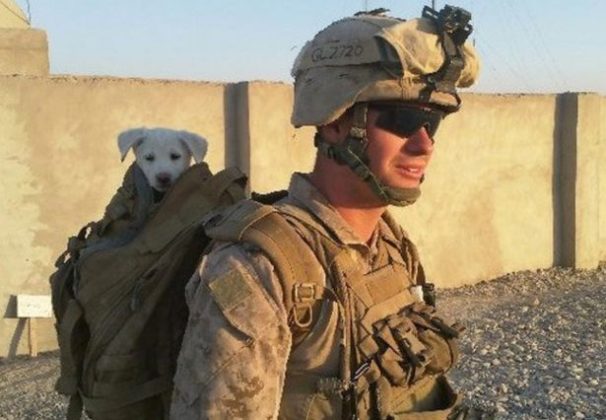 Ian Long, Borderline Bar & Grill Mass Shooter: Quick Facts & Photos