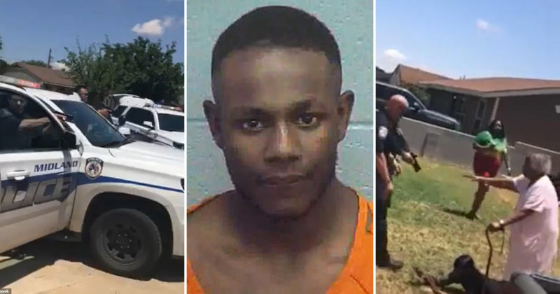 VIDEO: Grandma Shields Black Grandson From Cops Aiming Guns At Him ...